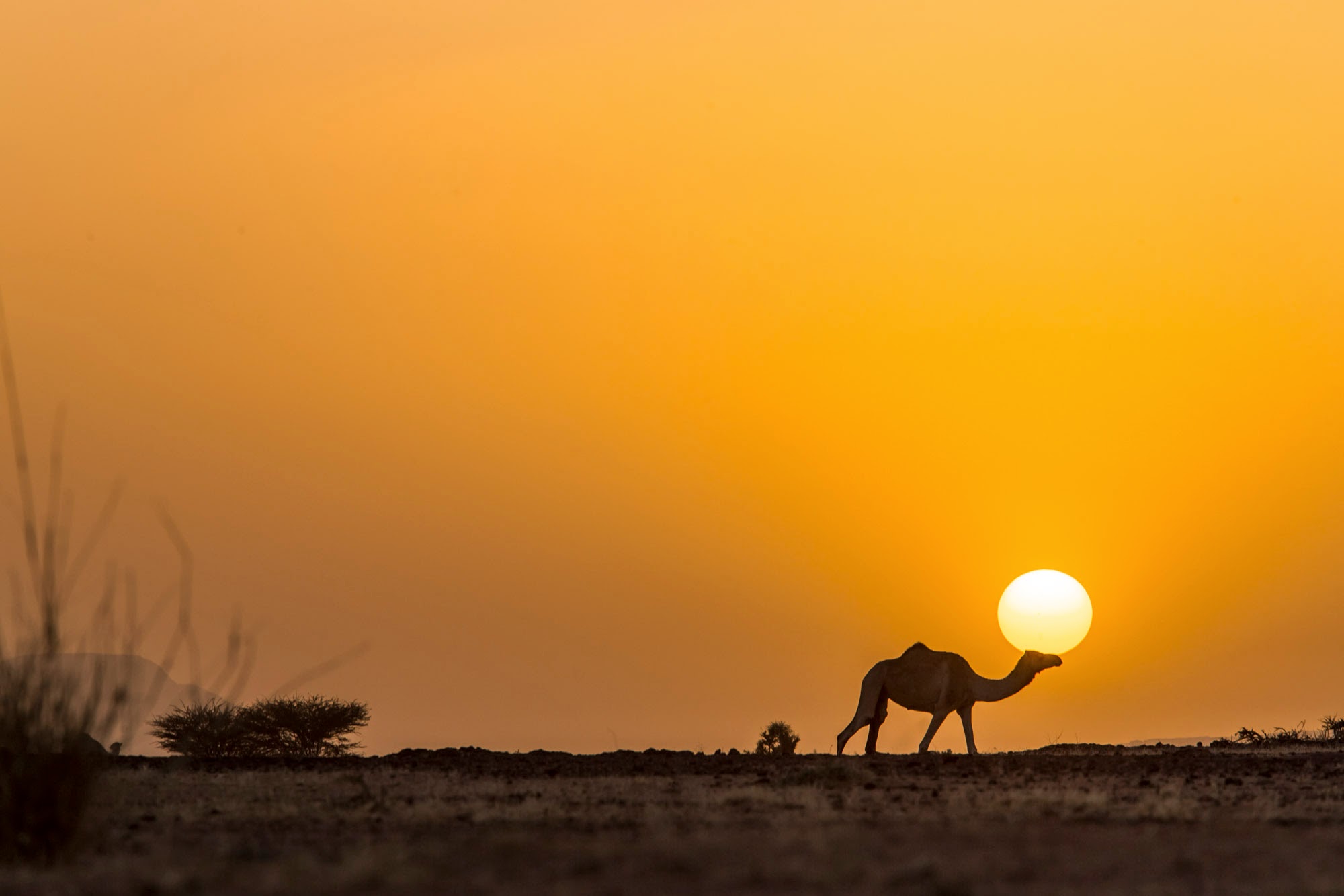 Guide de voyage pour découvrir le Tchad - Toumay voyages